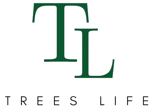 Trees Life – Wir pflanzen Bäume